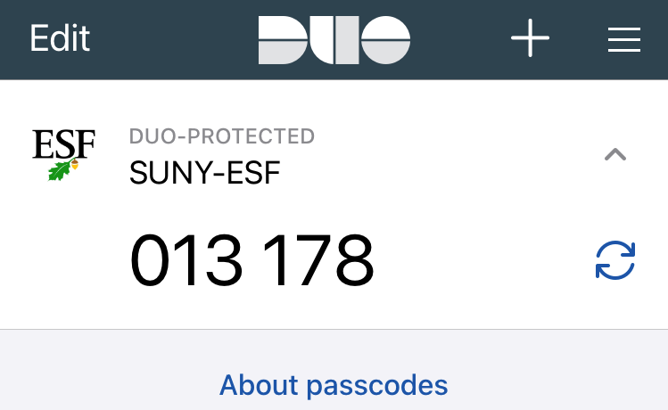 Computing & Network Services > Account Info > DUO